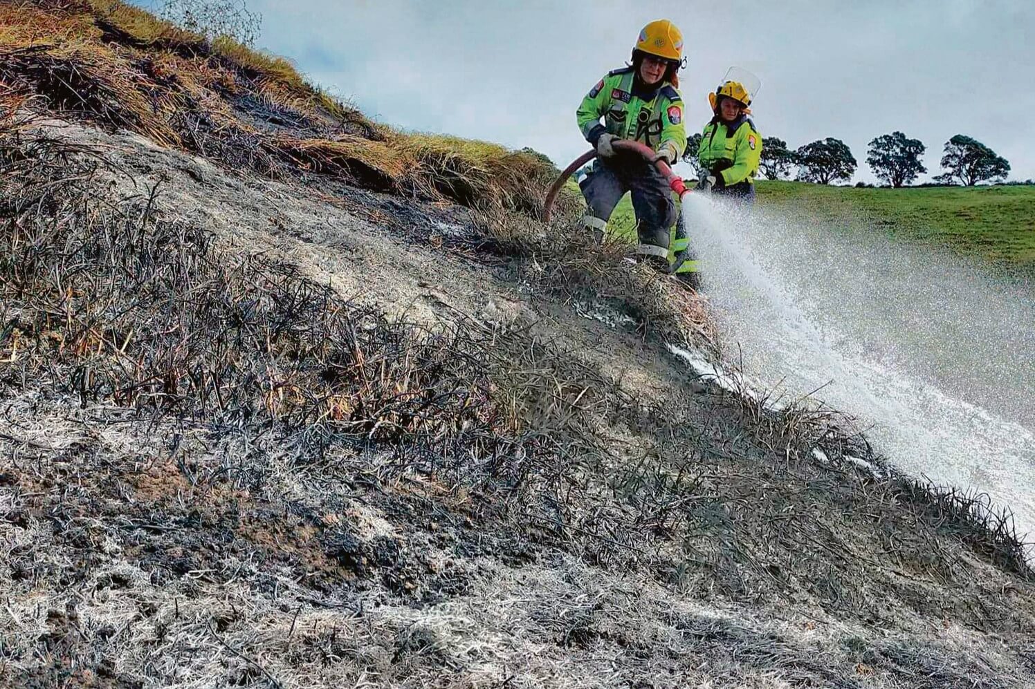 Firefighters fight grass fire | King Country News