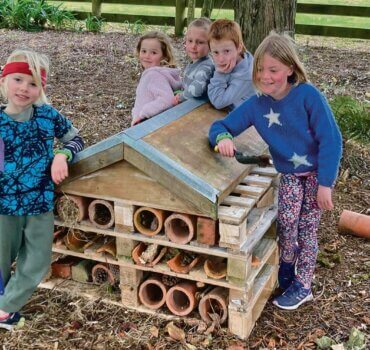 School’s bug hotel attracts insects | King Country News